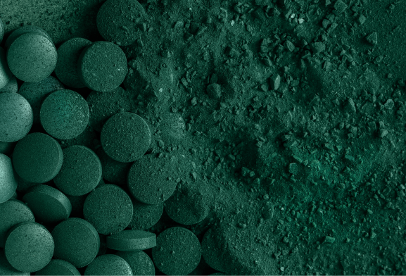 Spiruline biologique France